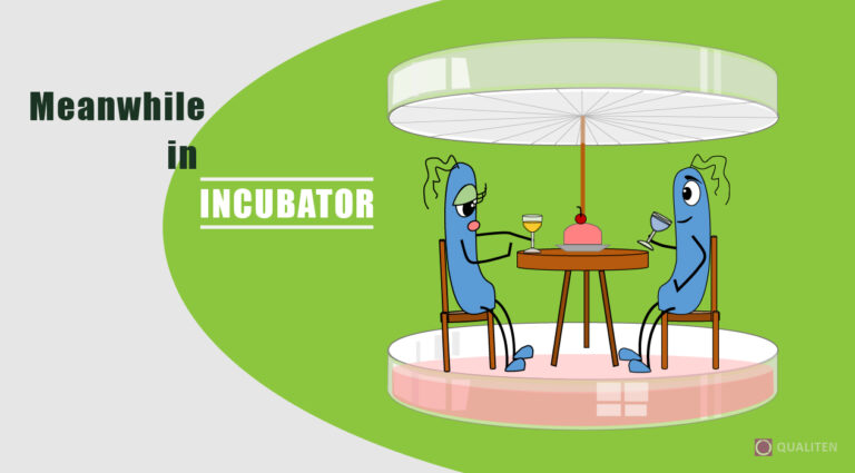 Bacteria in Incubator - Humor | Qualiten Press